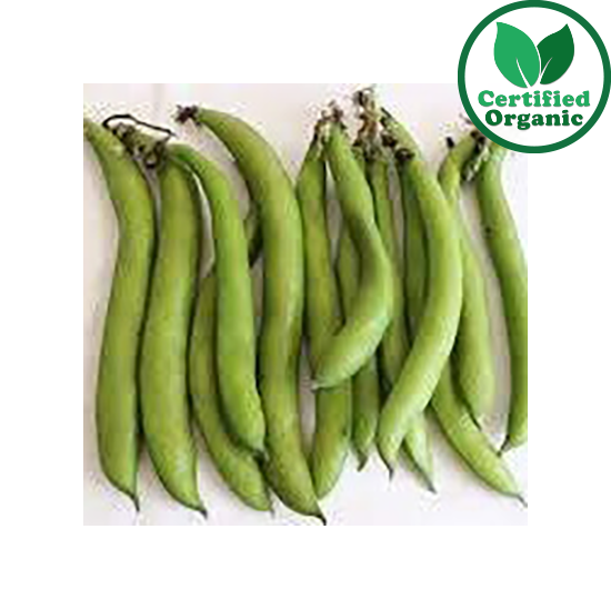 Organic Beans Broad[ 5 kg per Box ] – Foodlum - Certified Organic ...