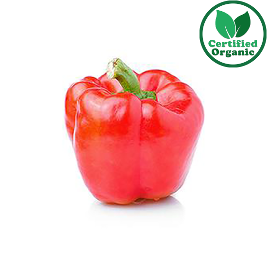 Organic Capsicum Red Premium [ 5 kg per Box ] – Foodlum - Certified ...